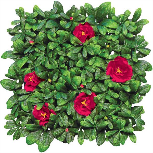 Artificial Outdoor Red Azalea, blooming, flowers, Wall Tiles ...